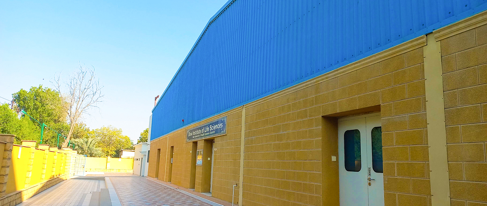 Dow Institute of Life Sciences (DILS) - Dow University of Health Sciences